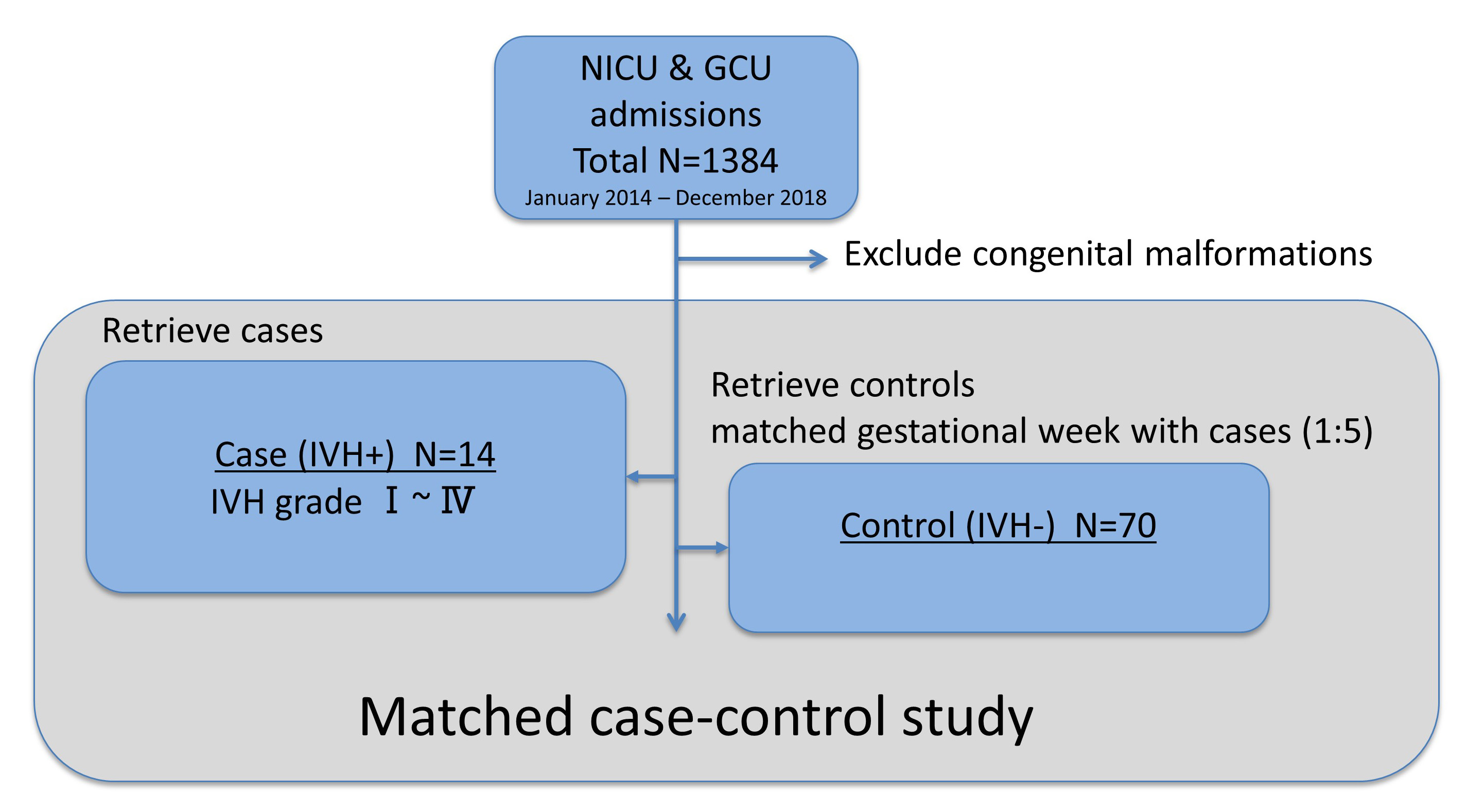 Perinatal Risk Factors for the Development of Neonatal Intraventricular ...