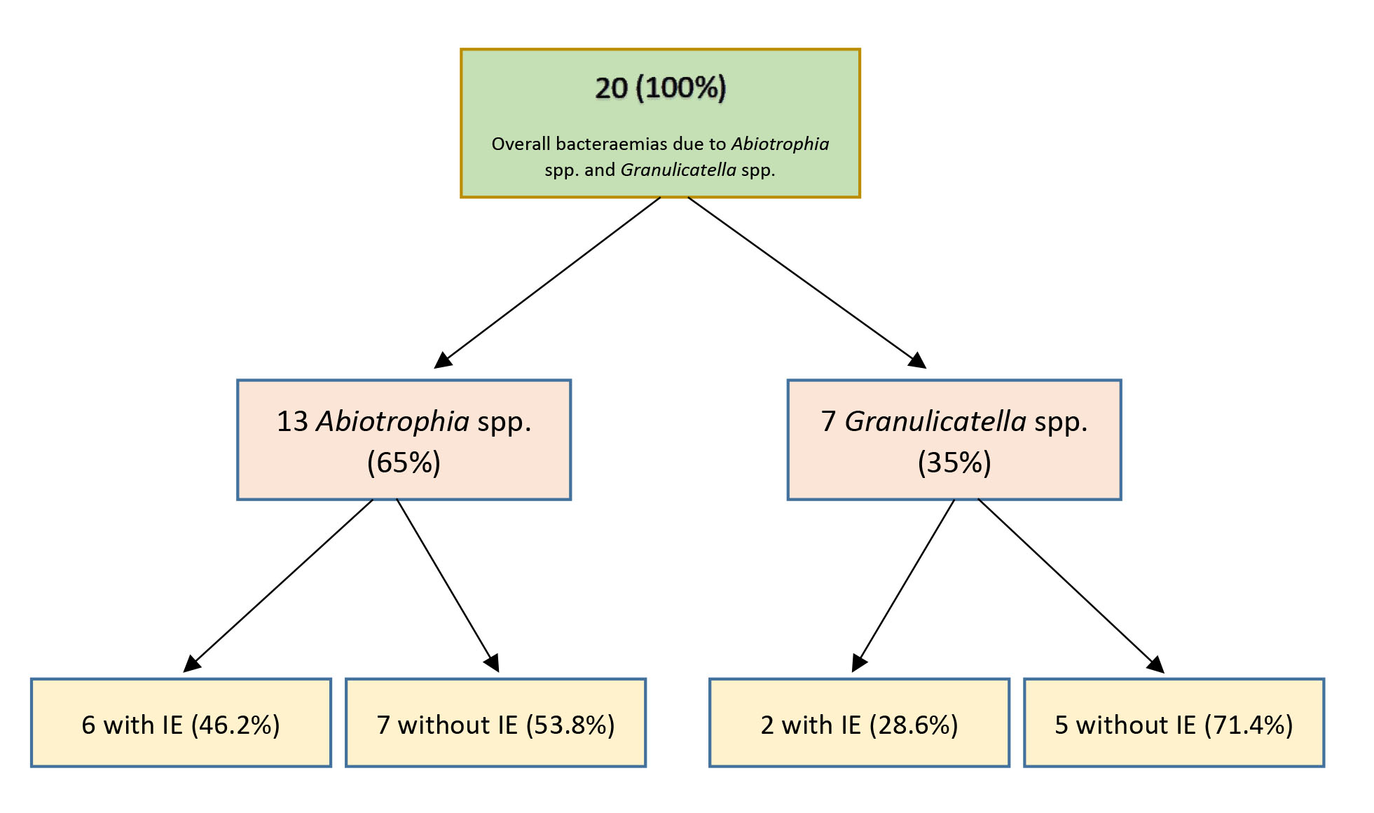 Abiotrophia spp. and Granulicatella spp. Infective Endocarditis: A ...