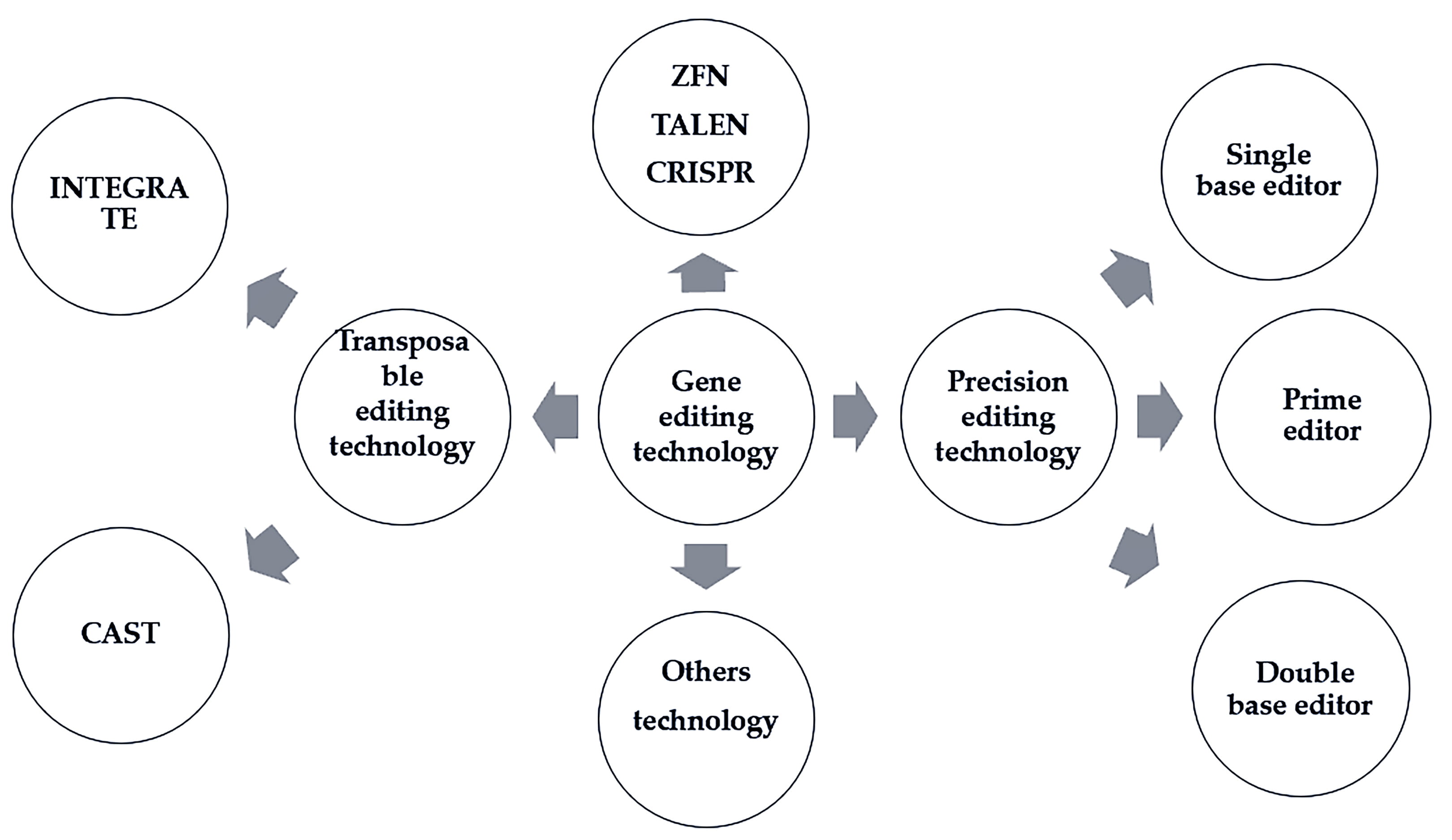 genome editing technology