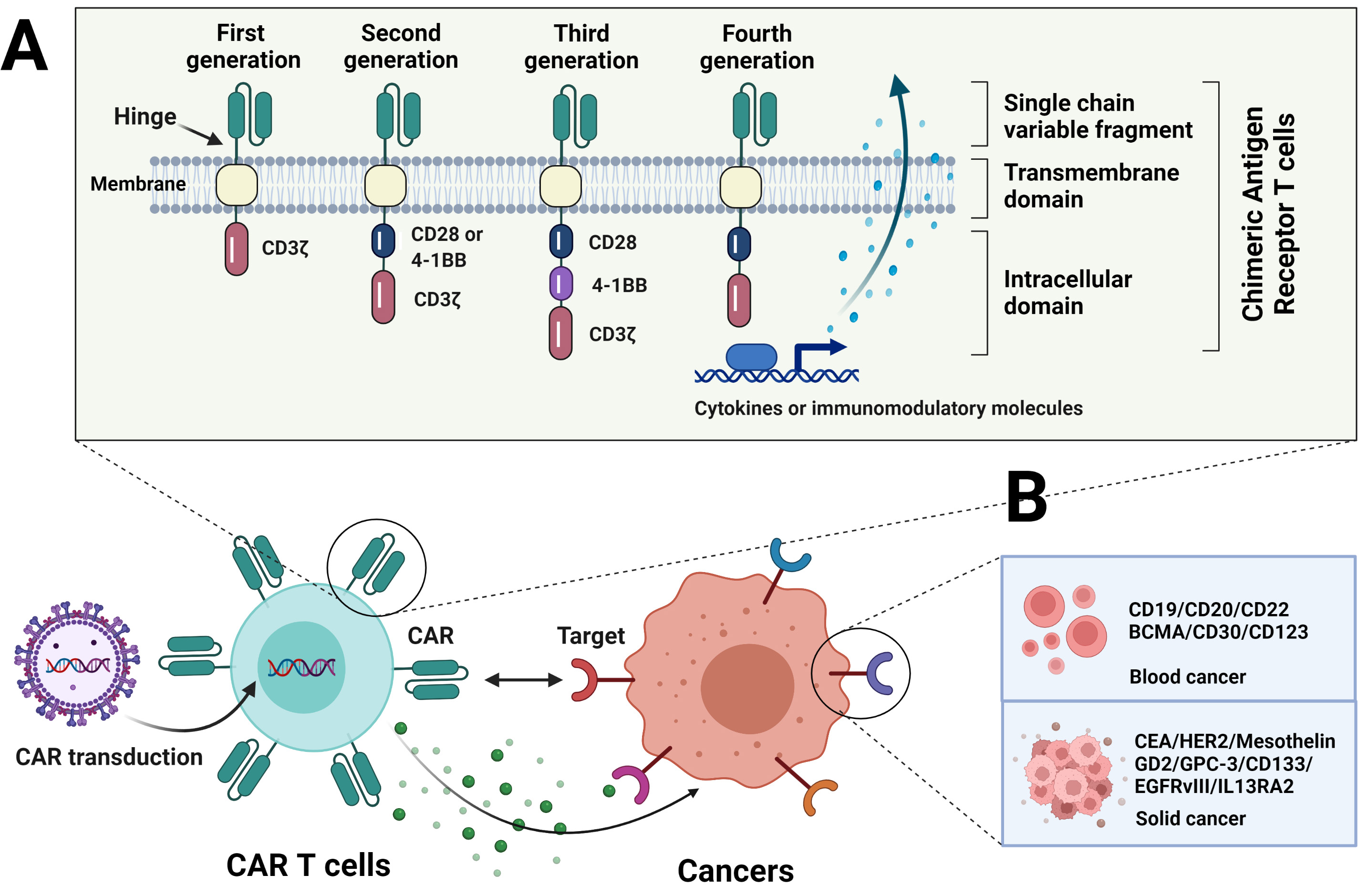 Current status and perspectives on CAR-T therapy