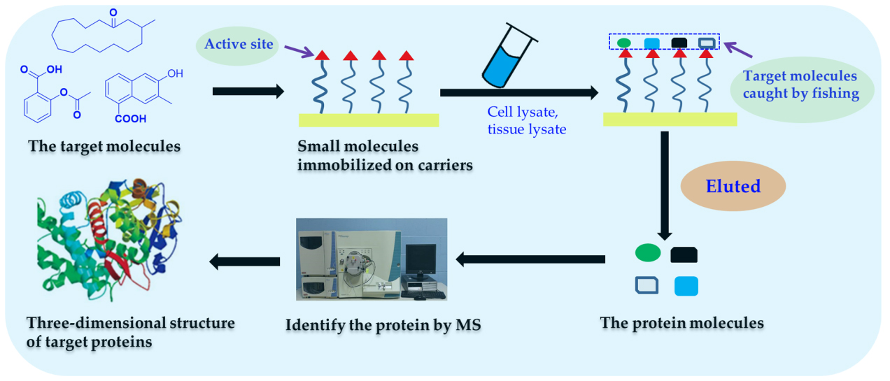 Current strategies and technologies for finding drug targets of active ...