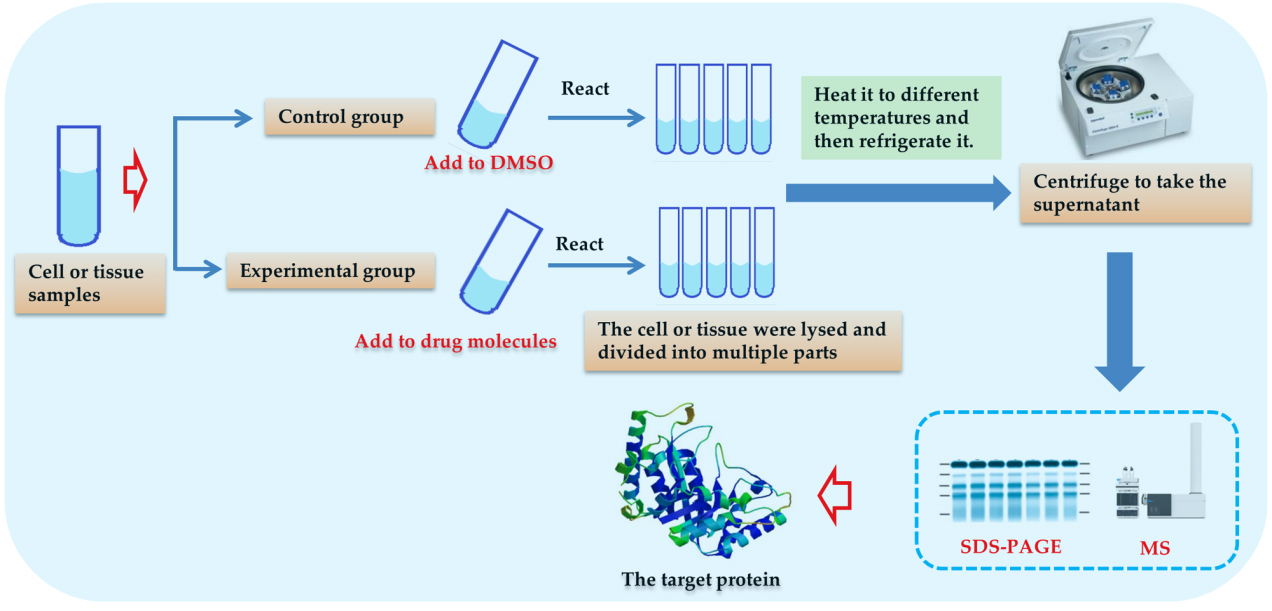 Current strategies and technologies for finding drug targets of active ...