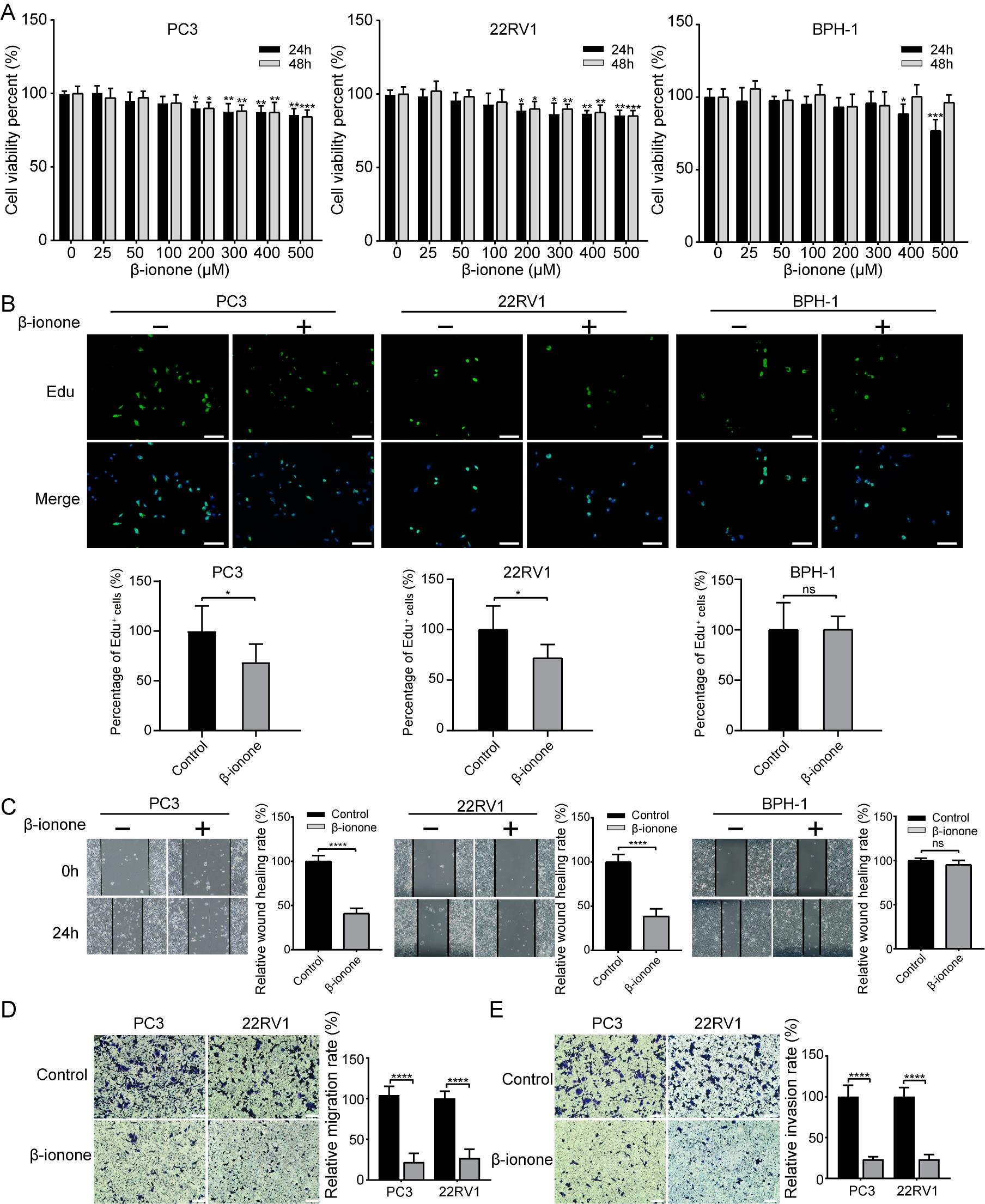 β-ionone Inhibits Epithelial-Mesenchymal Transition (EMT) in Prostate ...