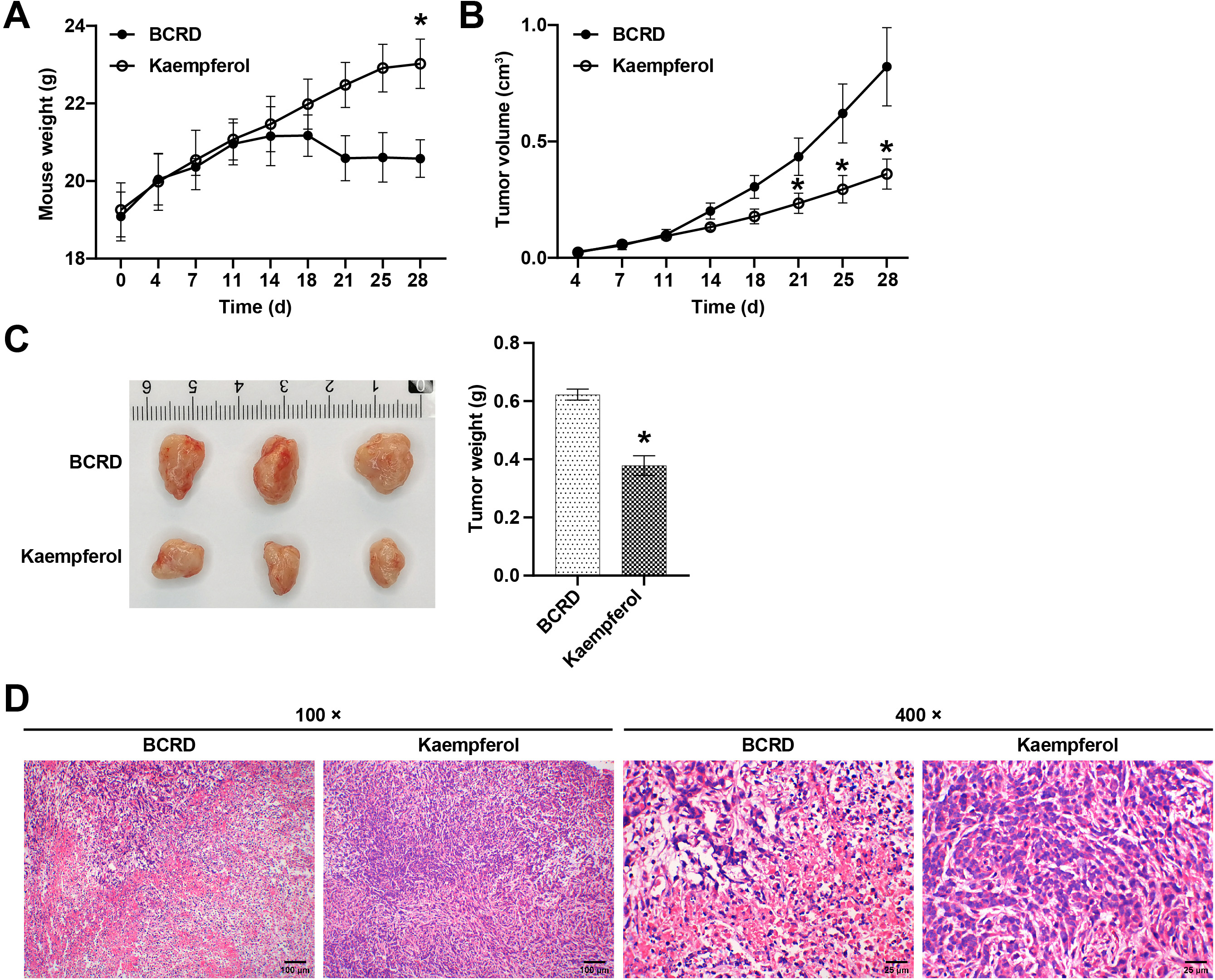Kaempferol Improves Breast Cancer-Related Depression through the COX-2 ...