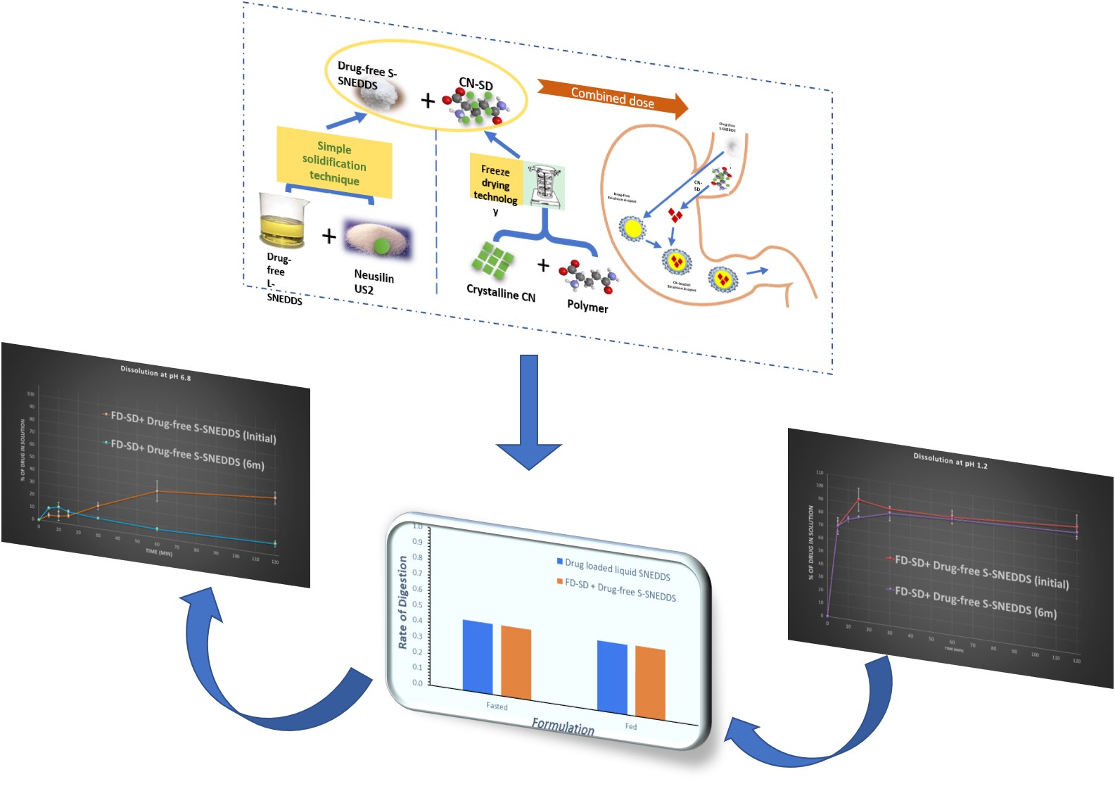 Unlocking the Potential: Synergistic Effects of Solid SNEDDS and ...