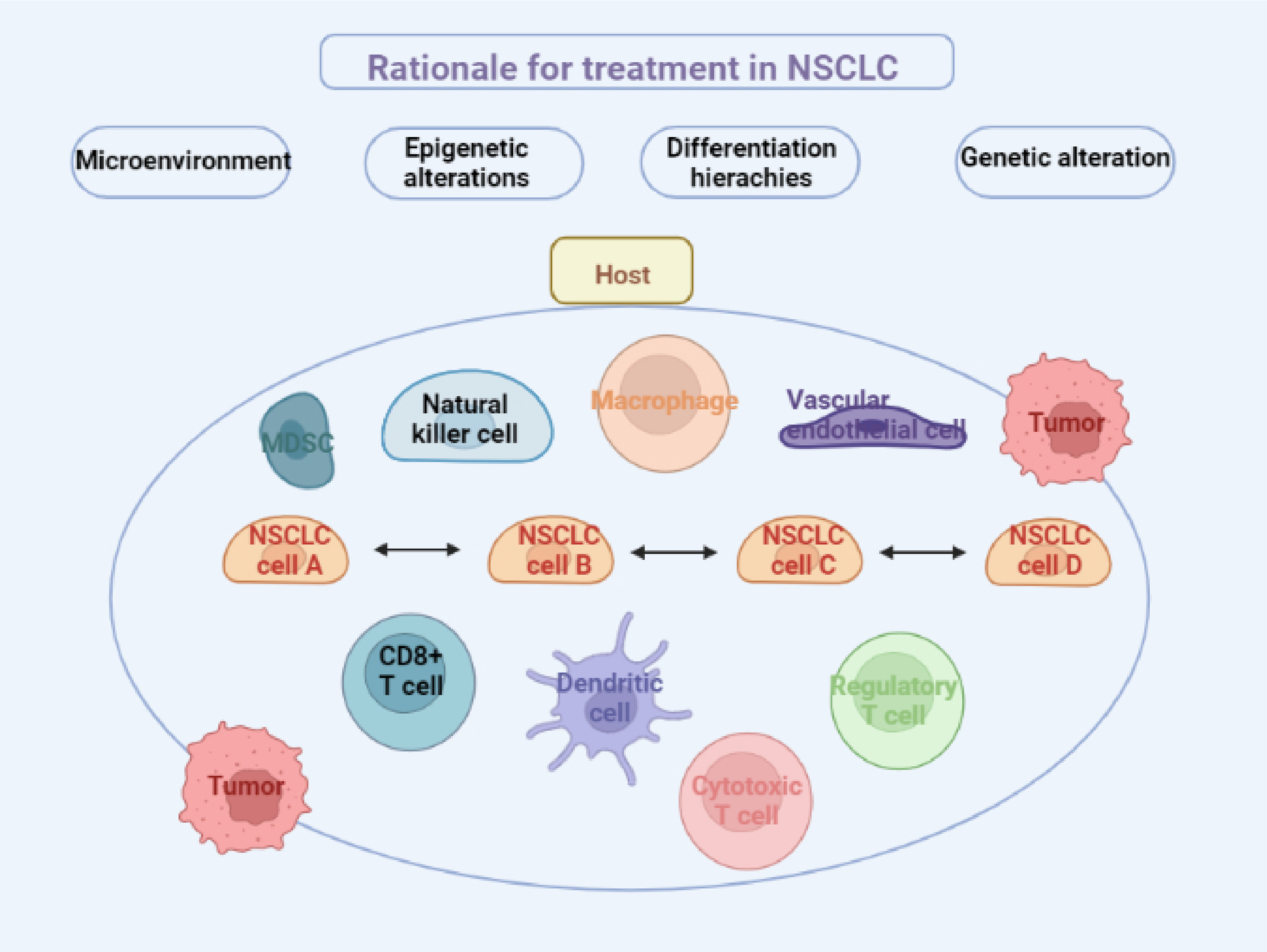 Cellular Senescence in Non-Small Cell Lung Cancer