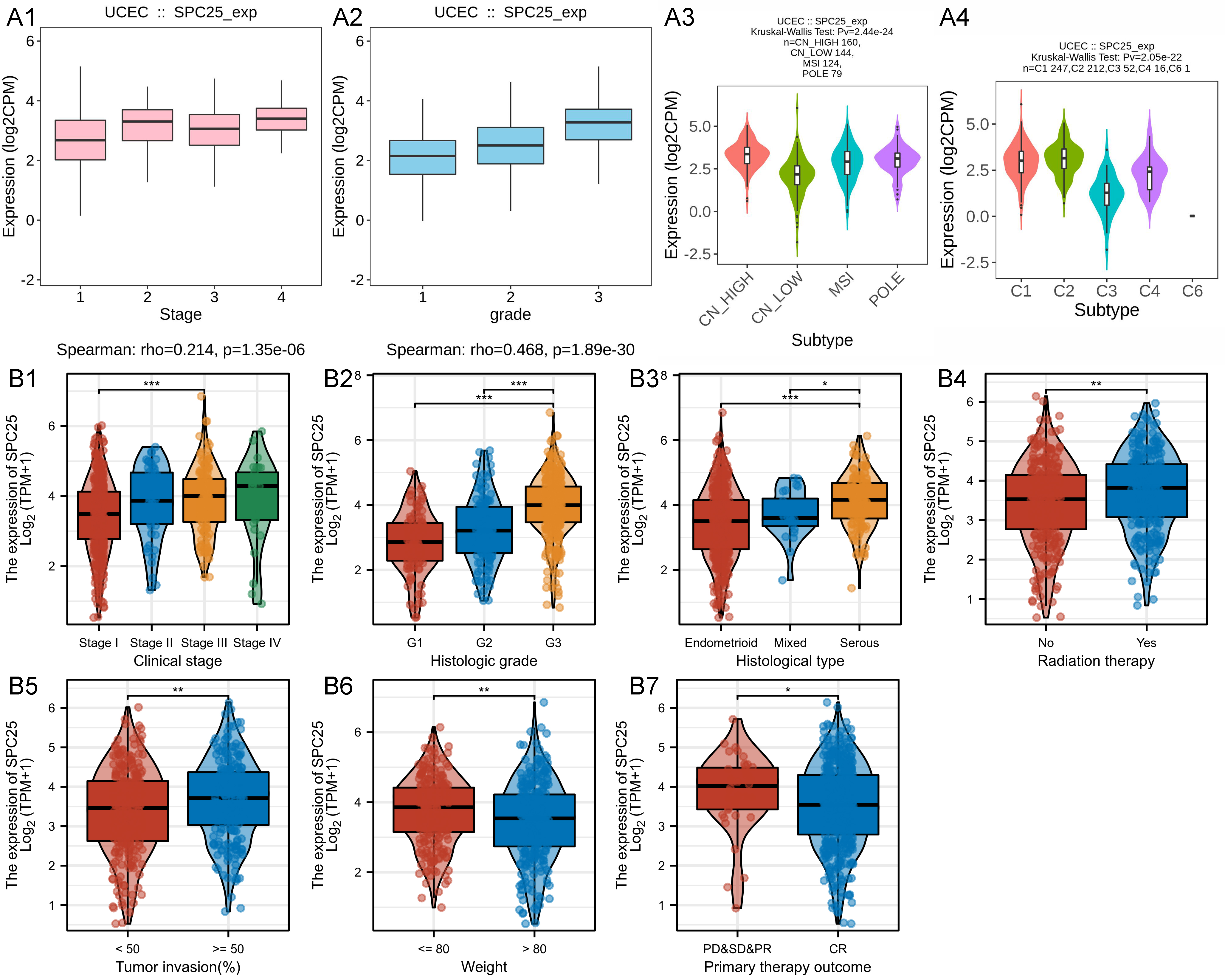 SPC25 Functions as a Prognostic-Related Biomarker, and Its High ...