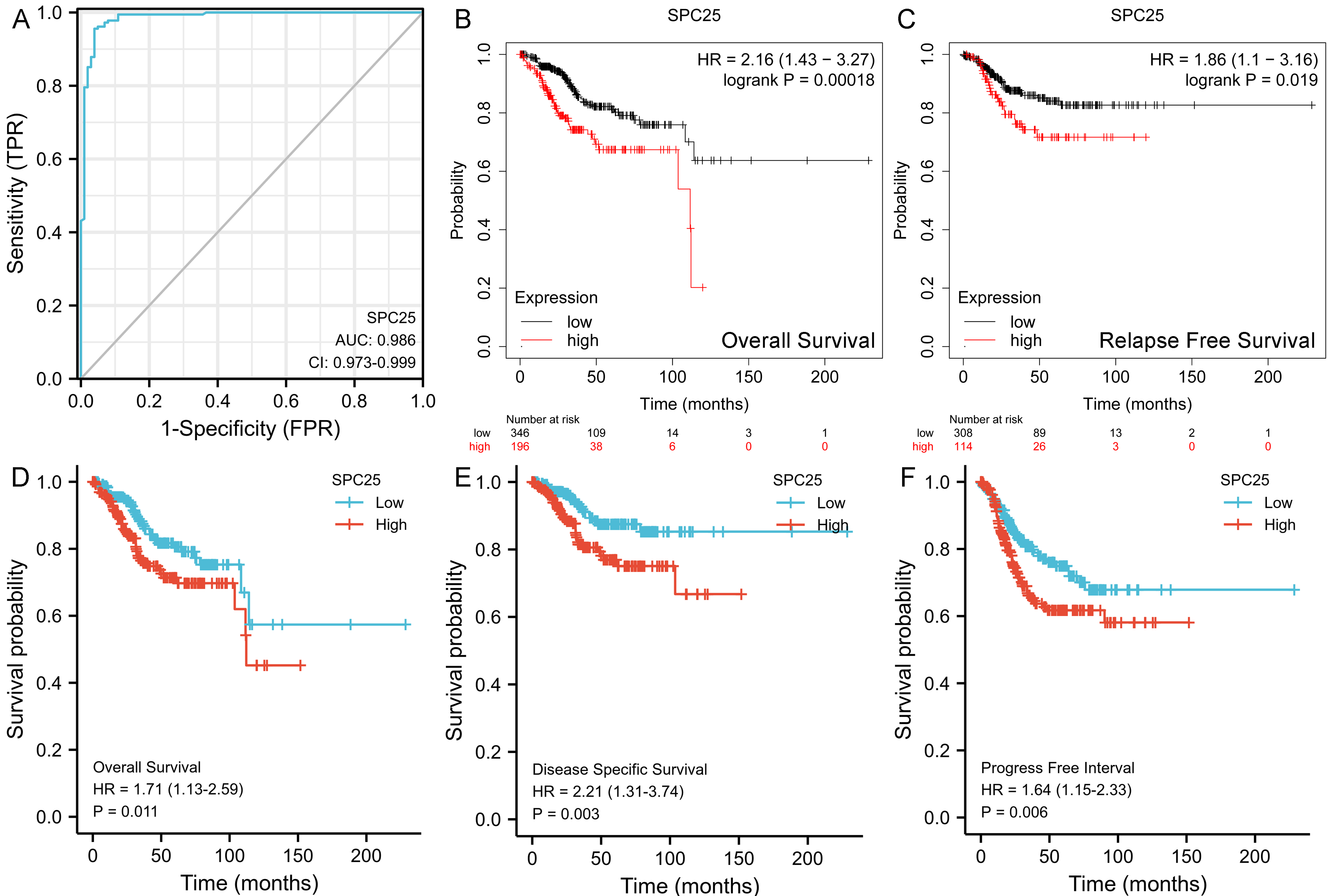 SPC25 Functions as a Prognostic-Related Biomarker, and Its High ...