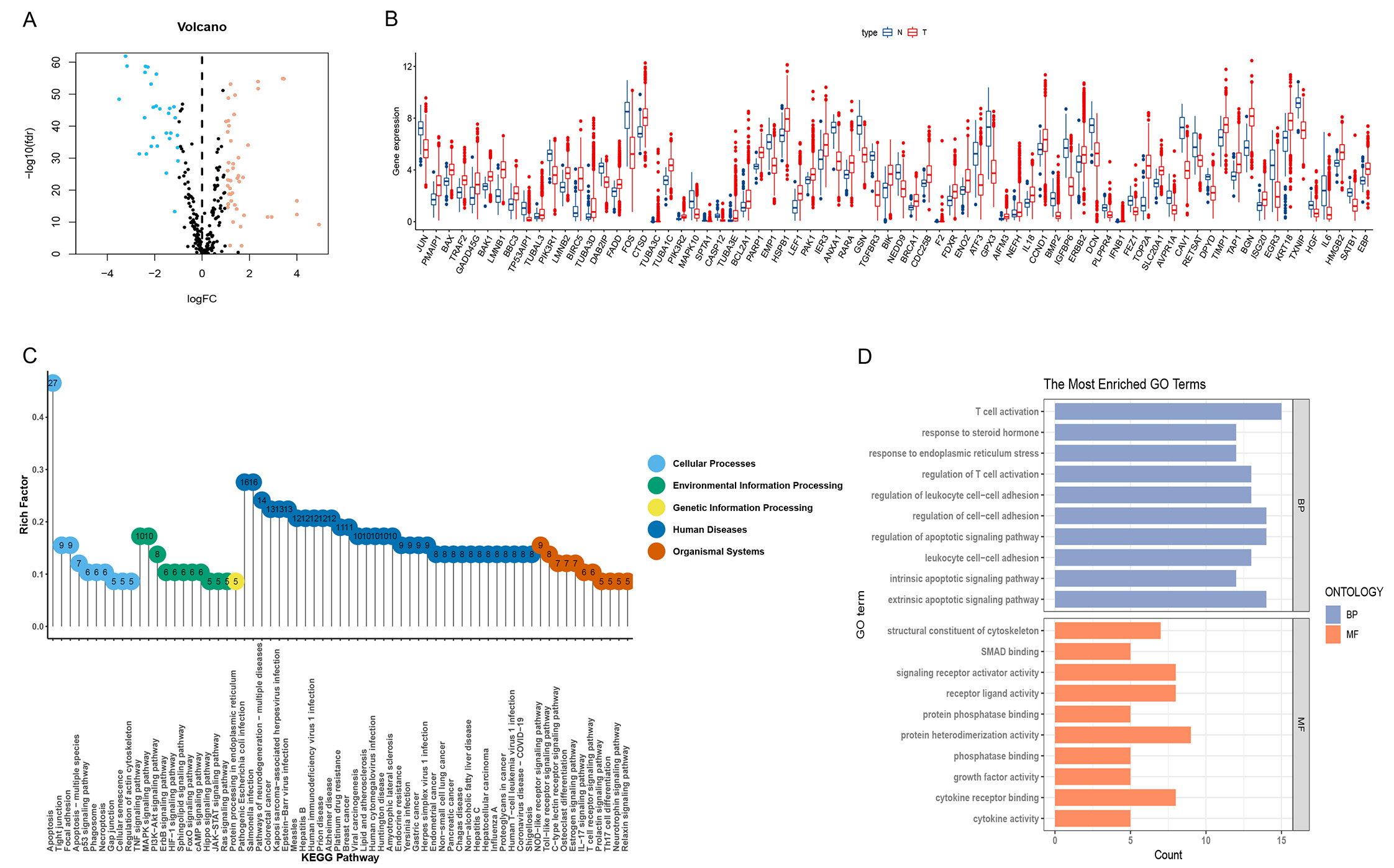 An Apoptosis-Related Specific Risk Model for Breast Cancer: From ...
