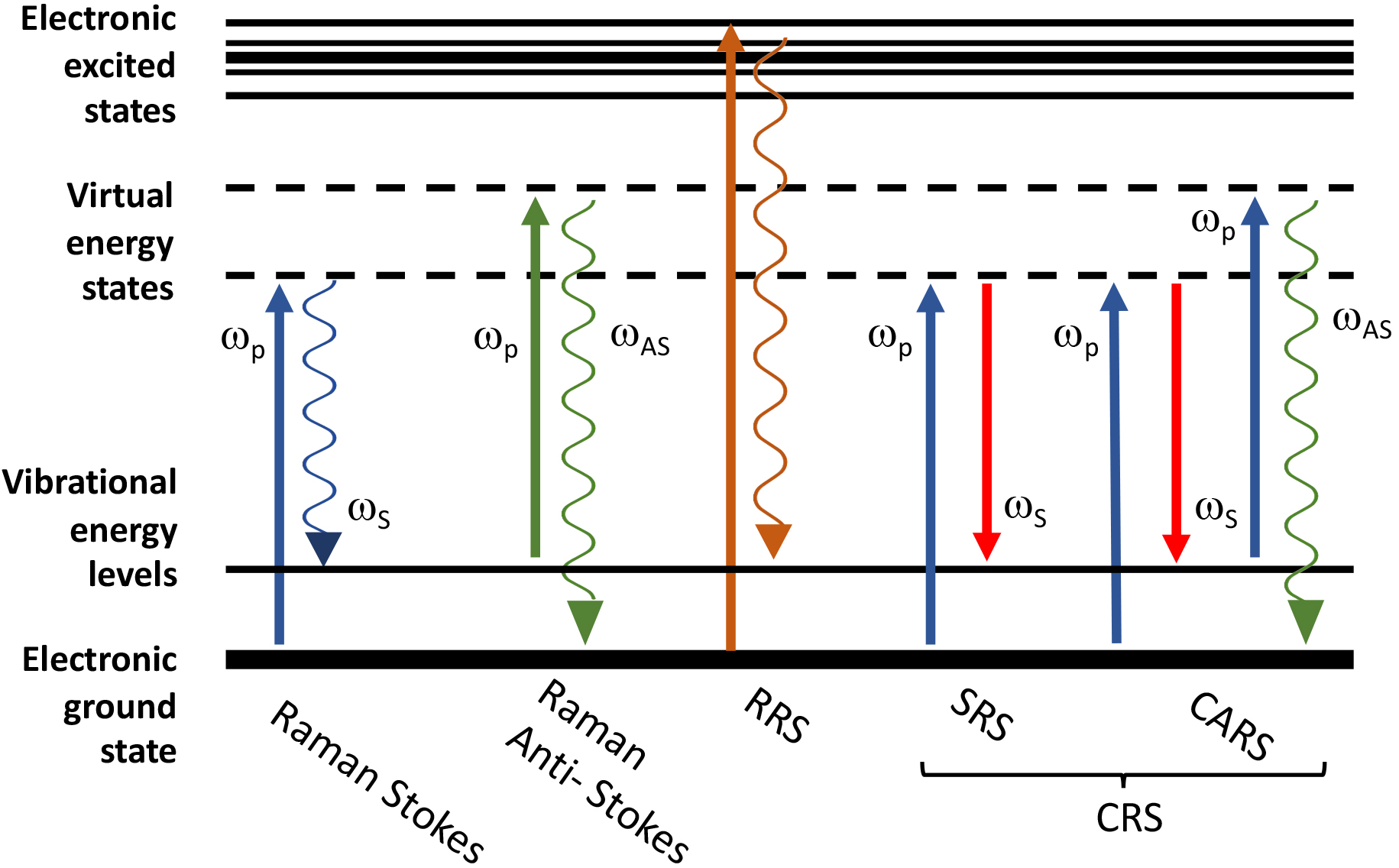 Raman Spectroscopy Techniques for the Investigation and Diagnosis of ...