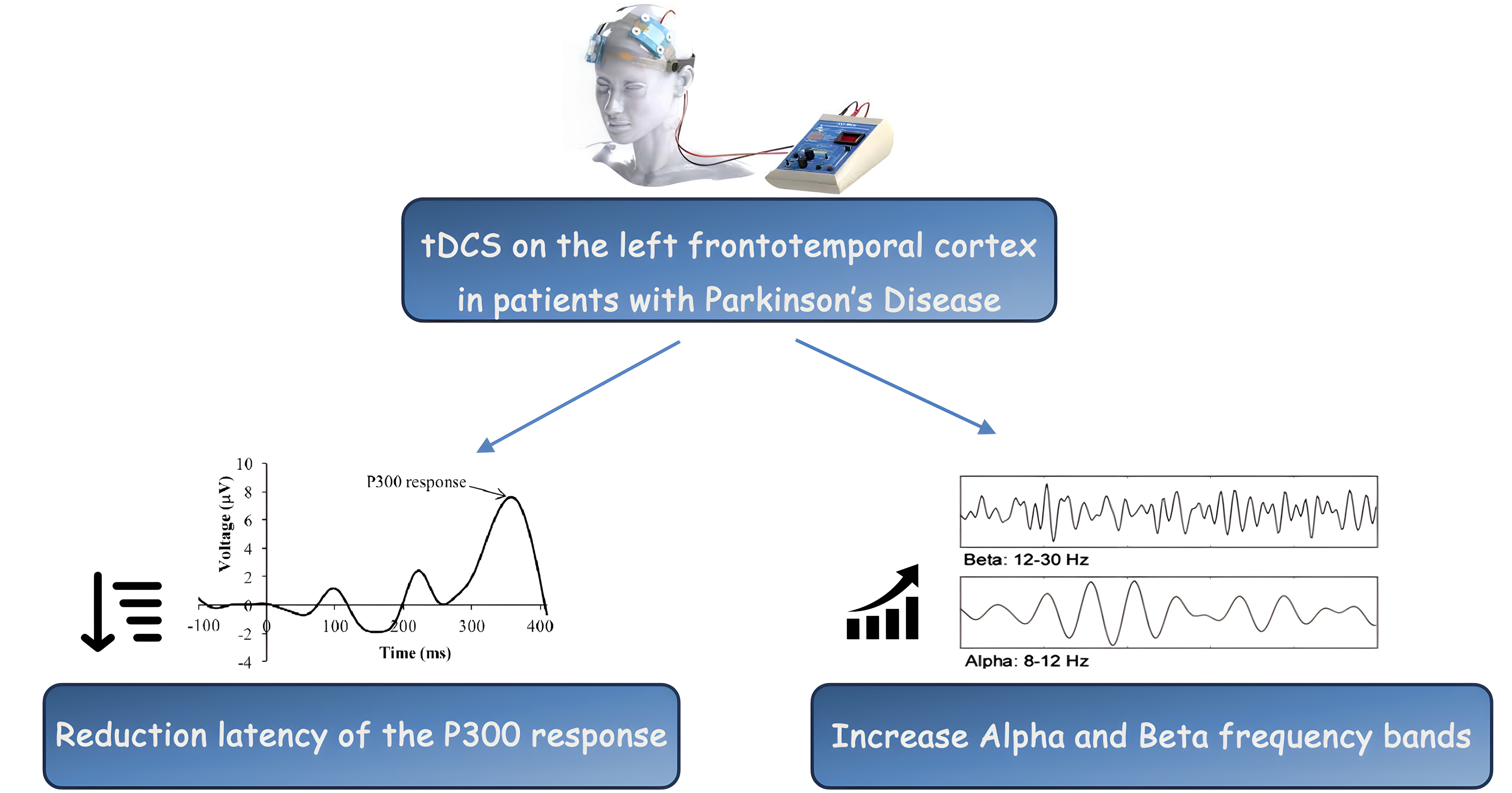 Effects of Transcranial Direct Current Stimulation on Potential P300 ...