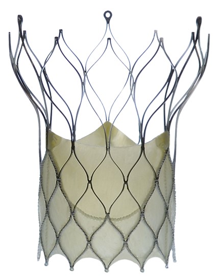 From an Unfolding Emergency Treatment to a Universal Shift in Therapy ...