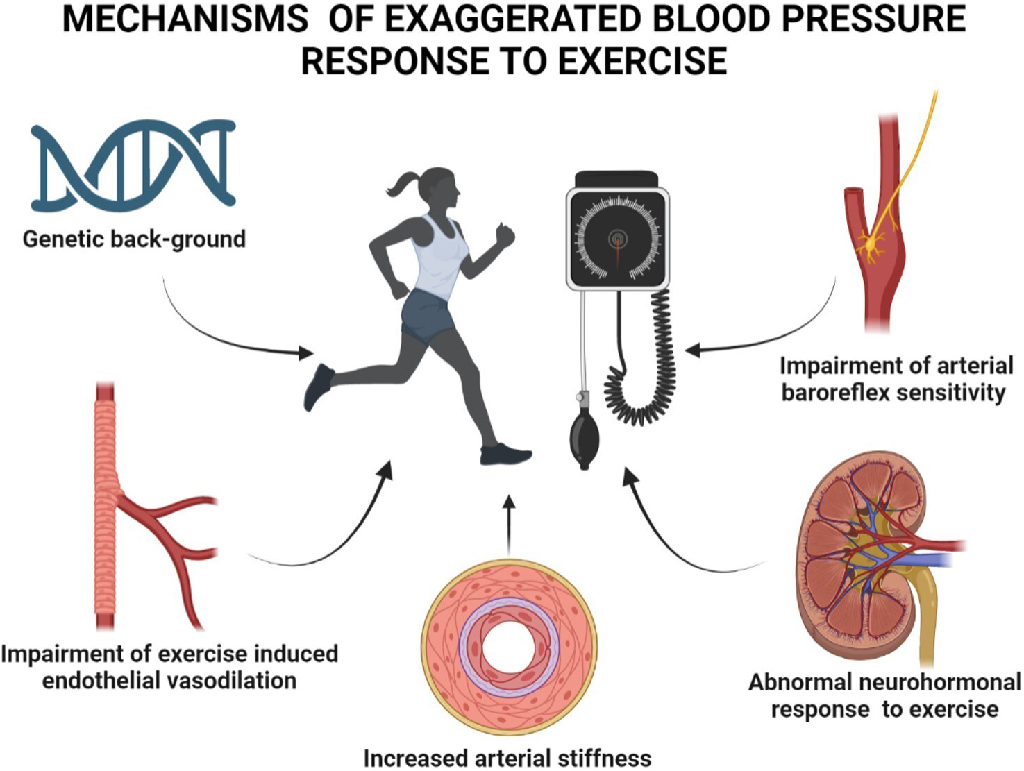 Clinical and Prognostic Value of Exaggerated Blood Pressure Response to ...