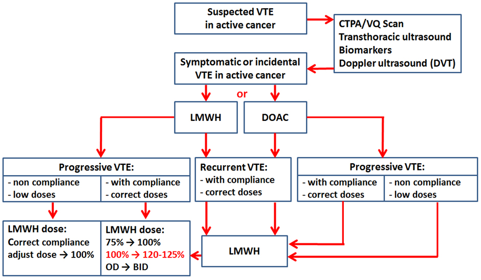 Thromboembolism in Patients with Cancer: A Practical Guide to Recurrent ...