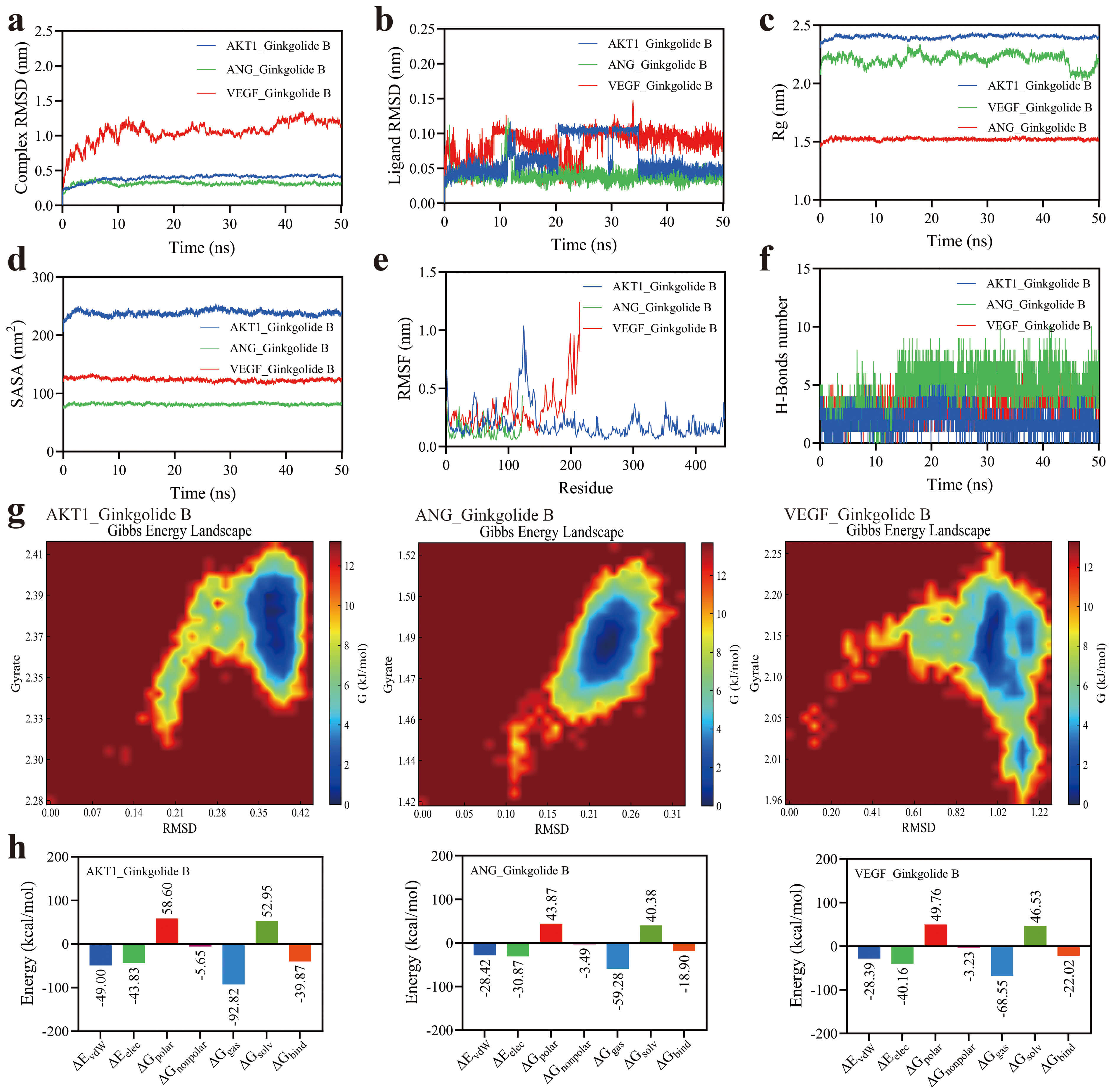 Ginkgolide B Promotes Angiogenesis After Oxygen-Glucose Deprivation by ...