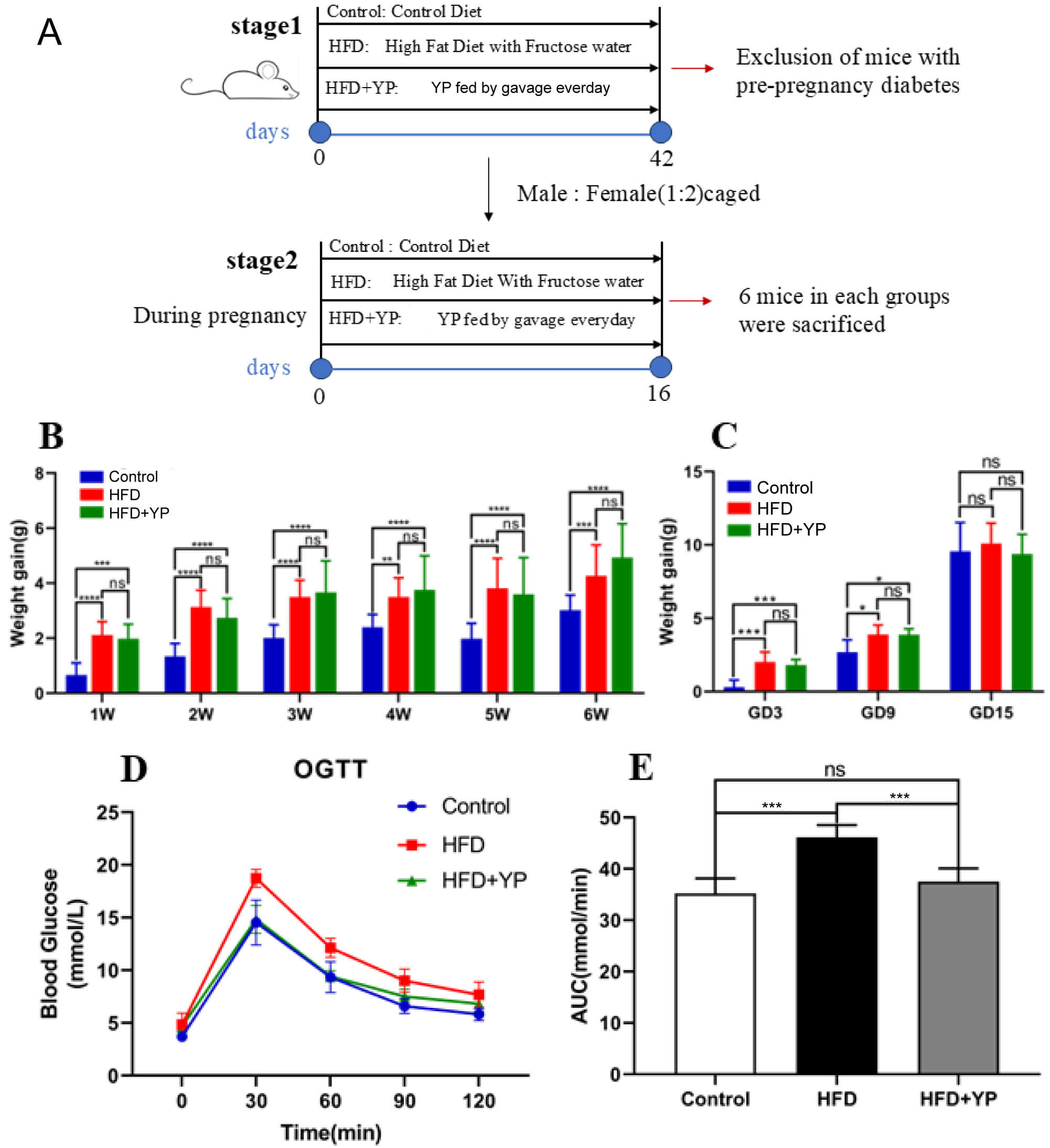Yam Polysaccharide Ameliorates High-Fat and Fructose Diet-Induced ...