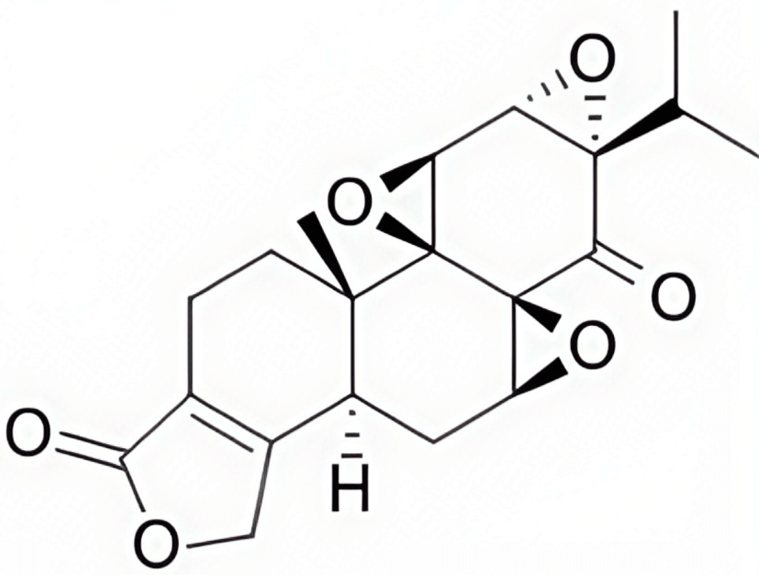 Understanding the Cancer-Associated Fibroblast (CAF) and Its Biomarker ...