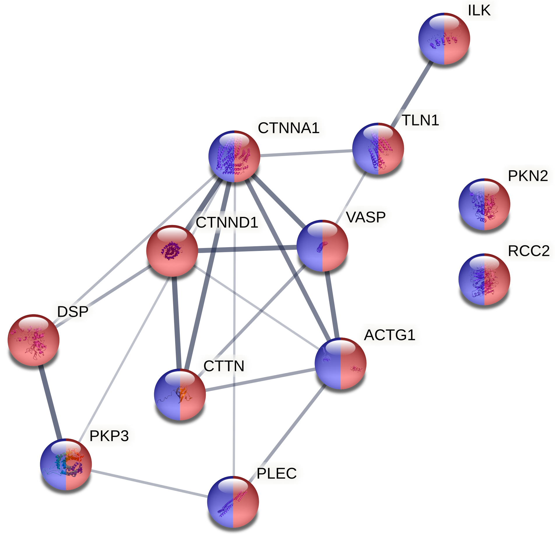 Bioinformatic approaches to the investigation of the atavistic genes ...