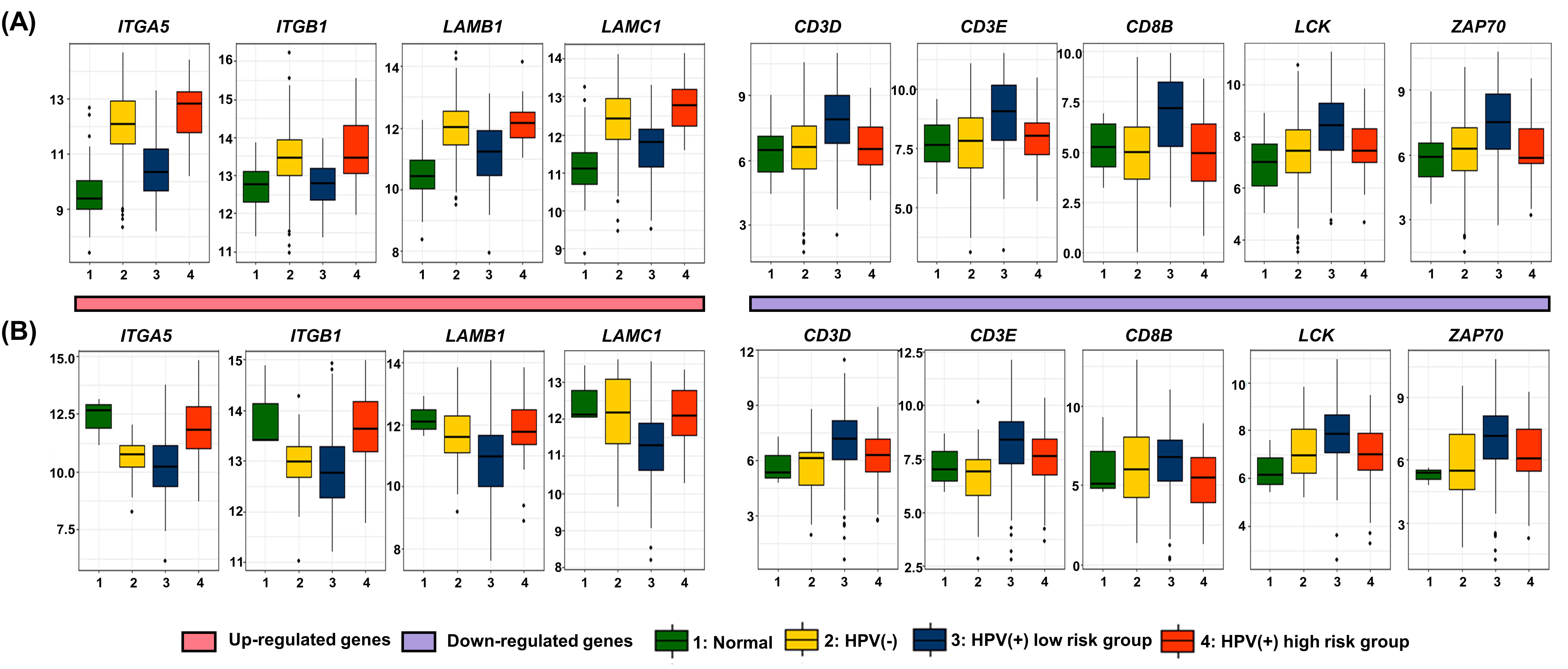 Identification of differentially expressed genes and pathways for risk ...