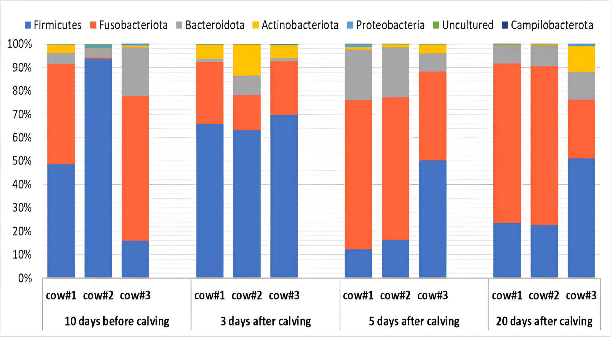 Compositional and Functional Metabolic Shifts in the Endometrial Microbiota of Cows (Bos taurus ...